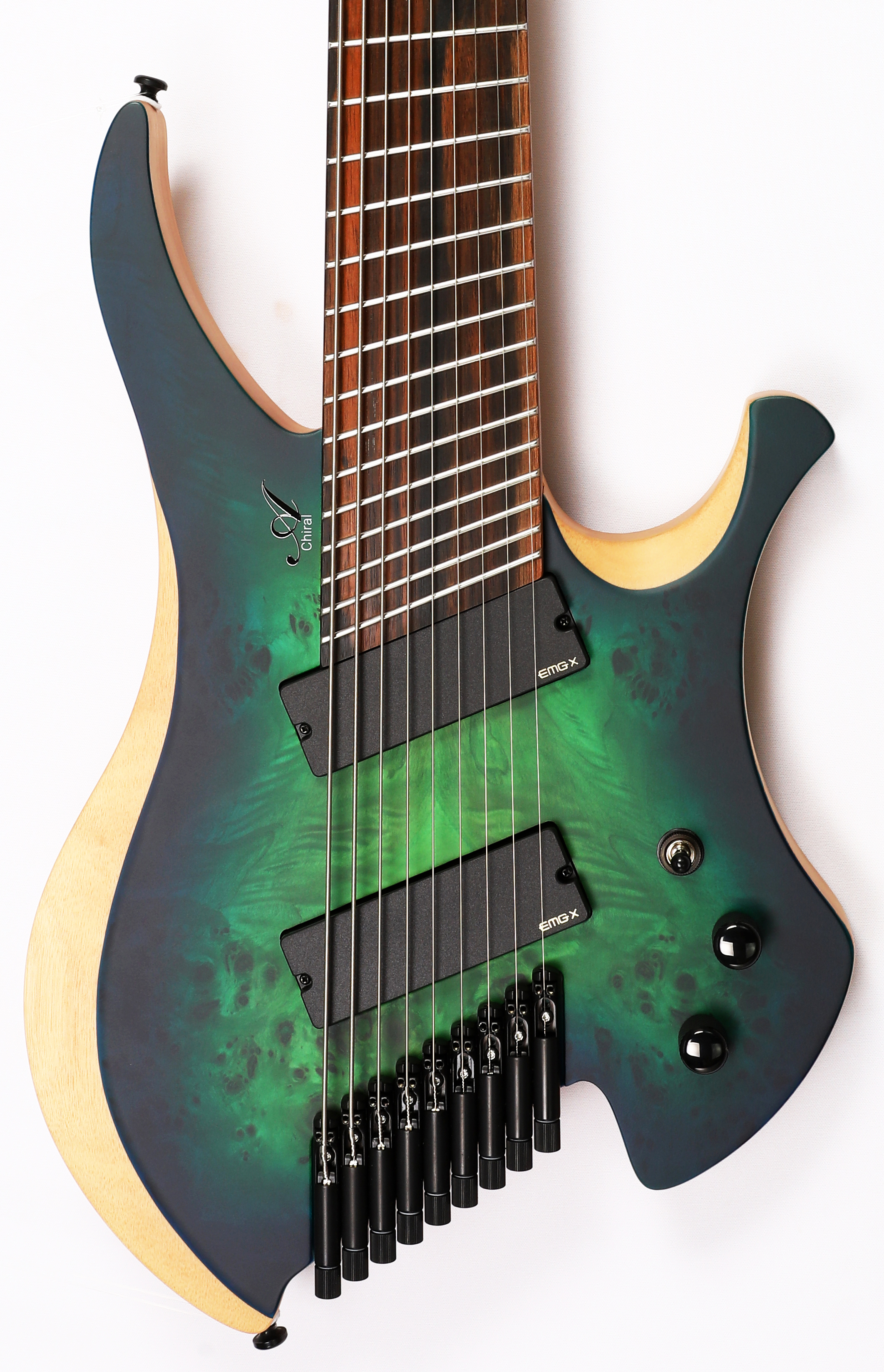 Multiscale Headless Guitar | ppgbbe.intranet.biologia.ufrj.br