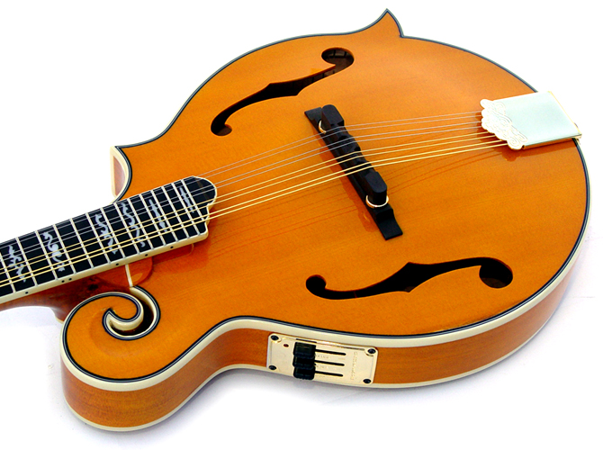 Agile AM-1E Amber Mandolin at HomeOld