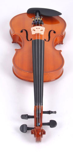 Valencia Violin Outfit 1 - 1/2 Size - RondoMusic.com