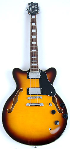 Agile AS-820 Semi-Hollow 2TS at RondoMusic.com